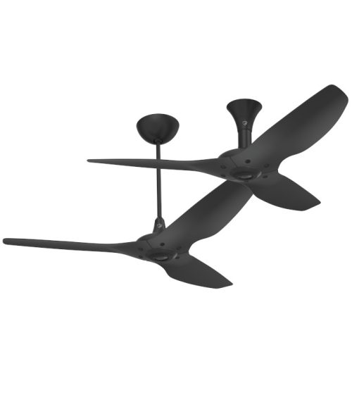 Haiku Fan – Light-Pro Furnishings Pte Ltd