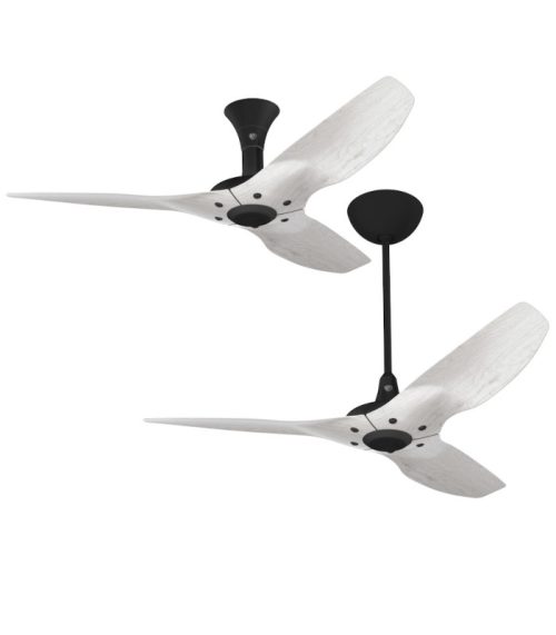 Haiku Fan – Light-Pro Furnishings Pte Ltd
