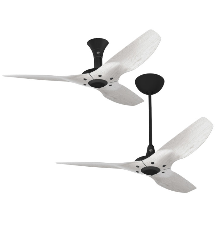 Haiku Fan – Light-Pro Furnishings Pte Ltd
